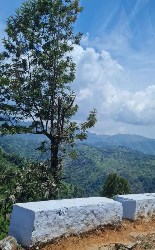 In Love with Conoor, irresistable - Travel Bindas